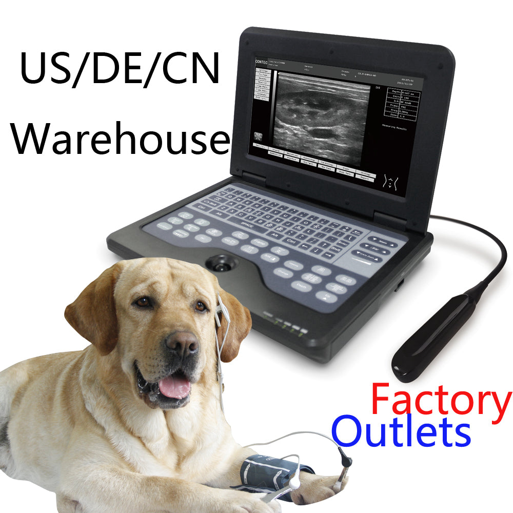 VET Veterinary Ultrasound Scanner Portable Laptop Machine, Animal Use ...